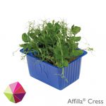 Affilla® Cress - Deutsch