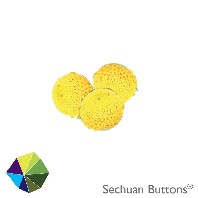 Sechuan buttons® - English
