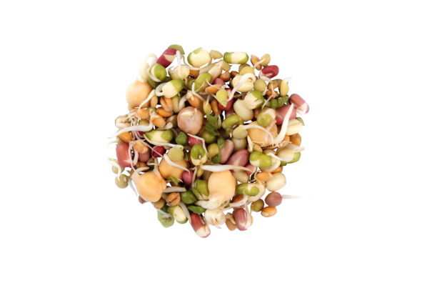 Mezcla de leguminosas germinadas orgánicas - Espanol