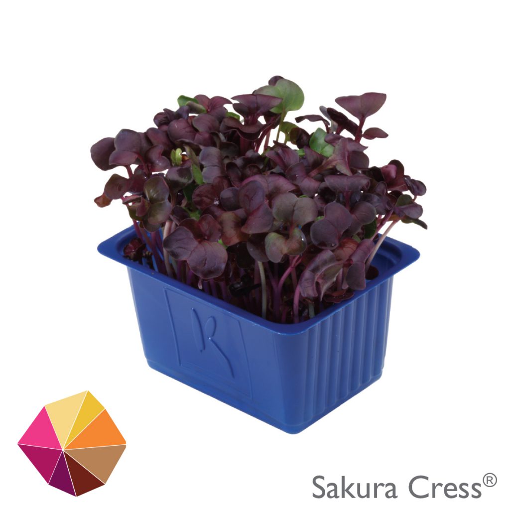 Sakura Cress® - Français